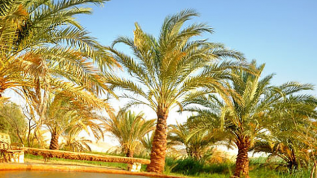 Help Hidden Spring Oasis Move! – Zero Equals Two!